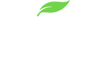 Power Soups – BOL Foods